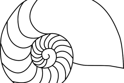 Nautilus Shell in Minecraft: Crafting, Uses & Tips